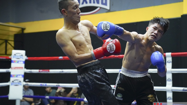 VSP Pro 3: Boxing chuyên nghiệp và Boxing nghiệp dư khác nhau như thế nào?