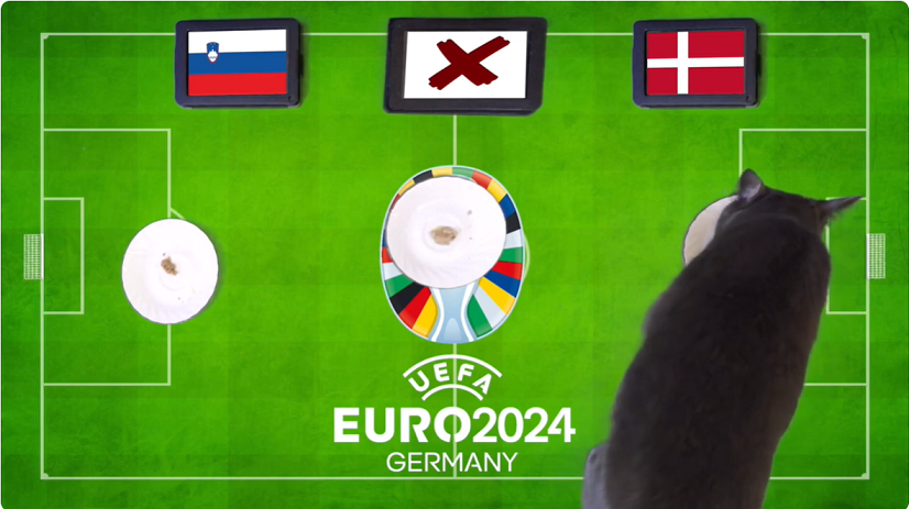 Mèo Tiên Tri Dự đoán Slovenia Vs Đan Mạch 23h Ngày 16 6 Euro 2024